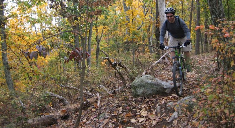 5 Best Mountain Bike Rides in Tennessee - Bikeably